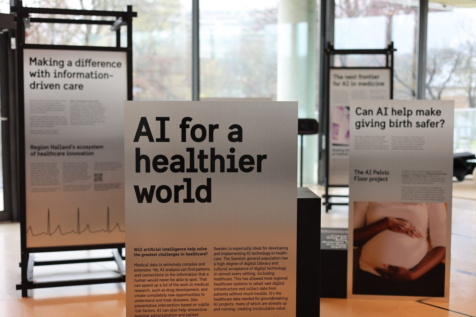 Swedish Embassy Exhibit Highlights Uses of AI - Mani Masood